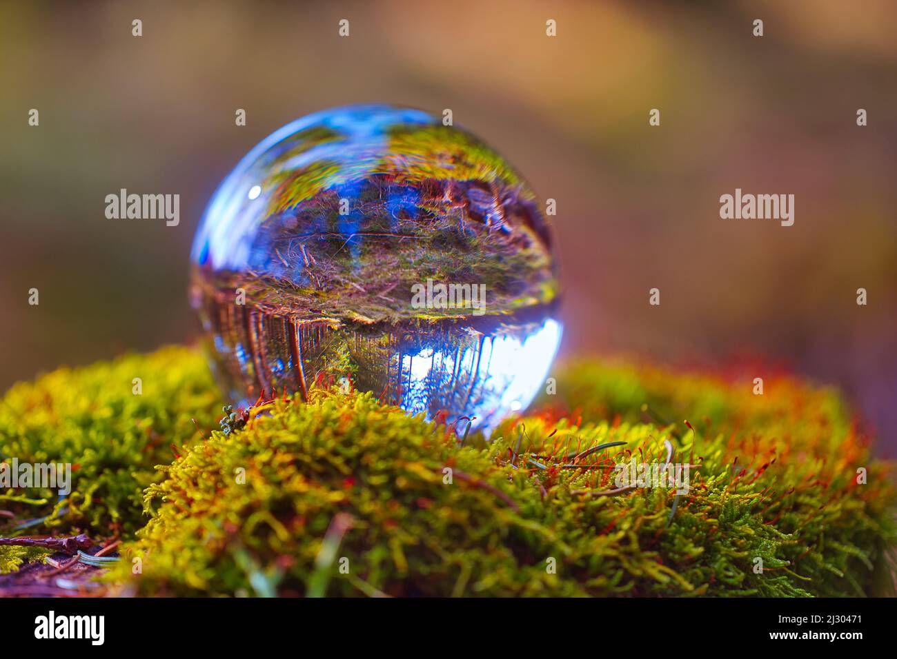 A close-up view from a lens ball of the landscape in autumn Stock Photo ...