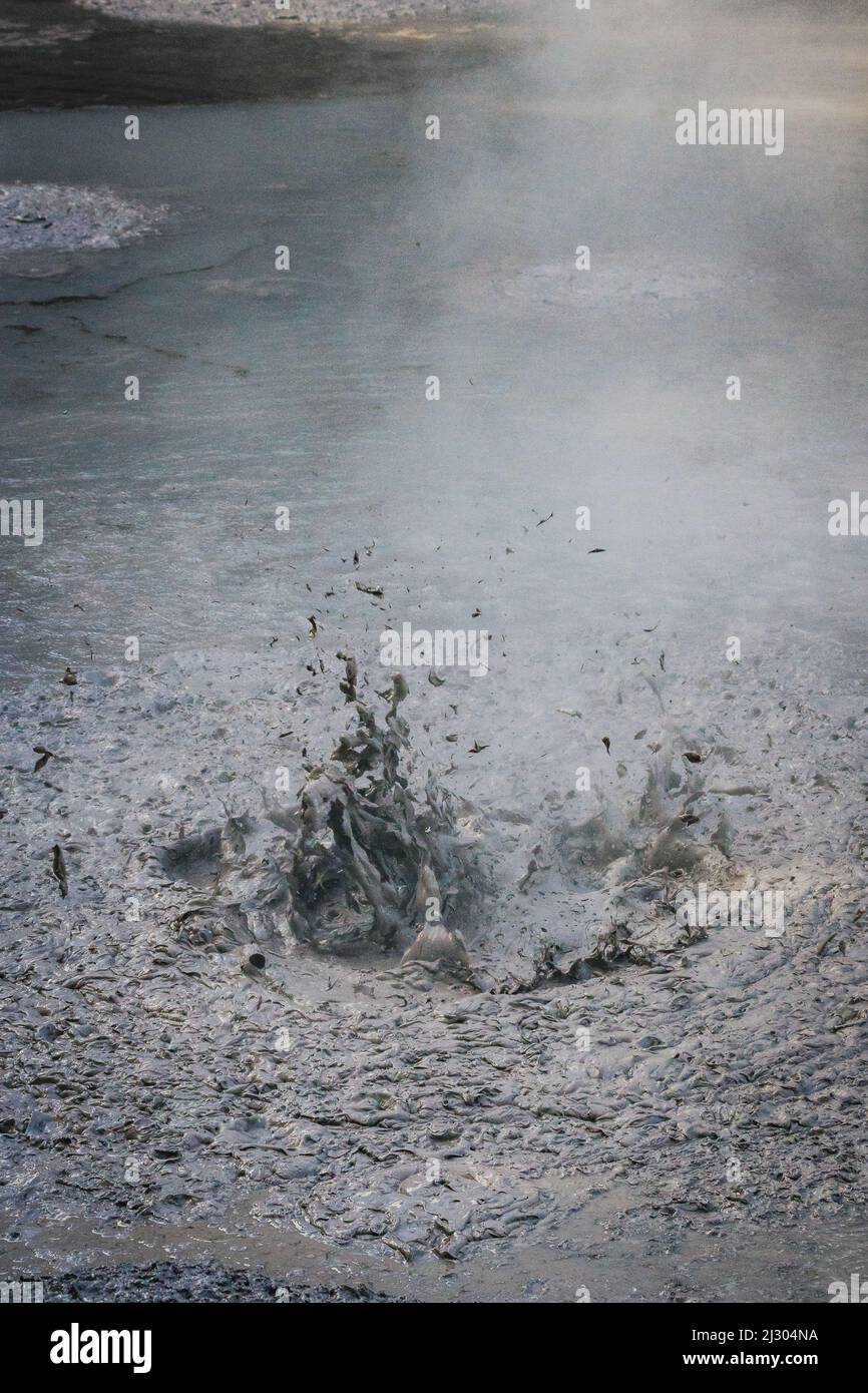 A vertical shot of boiling mud pools, Wai -O-Tapu, Waikato, New Zealand ...
