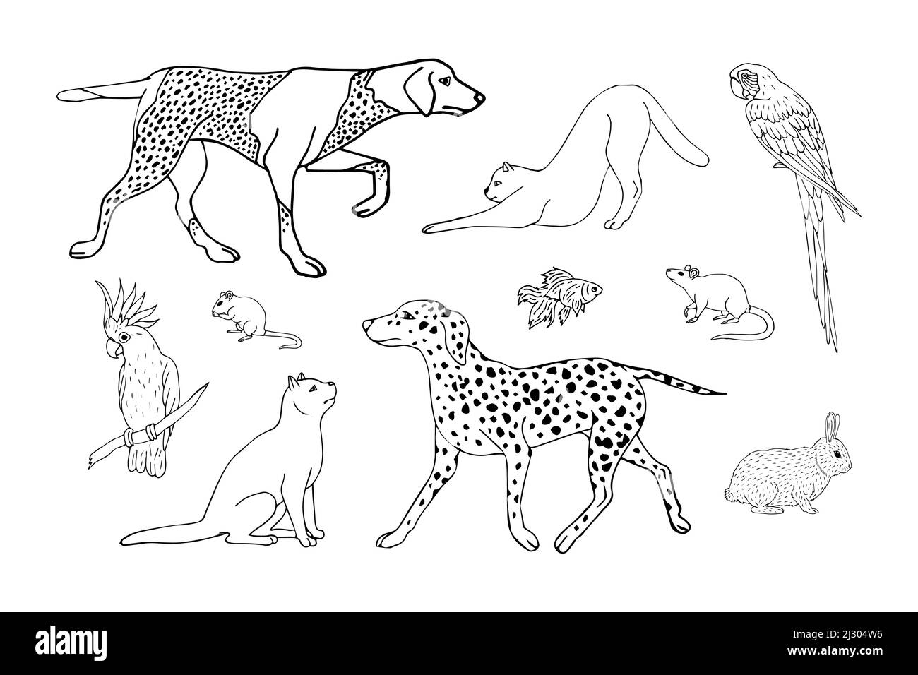 Vector hand drawn sketch doodle set bundle of black outline different ...