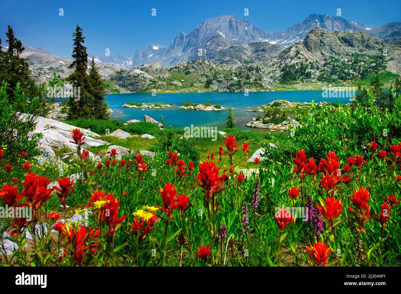 Island Lake and Fremont Peak, Wind River Range, Wyoming Stock Photo - Alamy