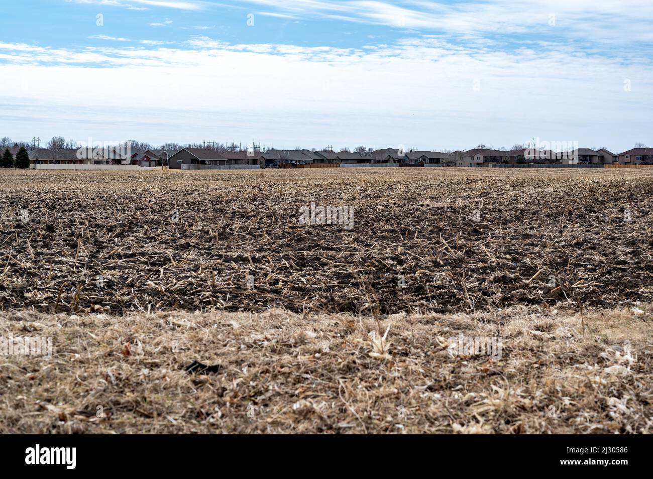 Empty corn field after fall harvest with residue over soil. Urban ...