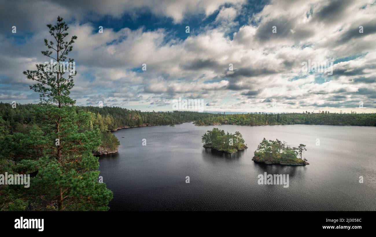 Long distance vision hi-res stock photography and images - Alamy