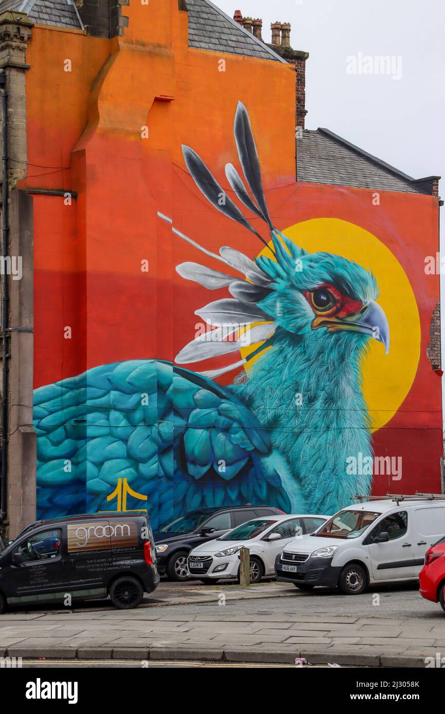 Bird mural hi-res stock photography and images - Alamy