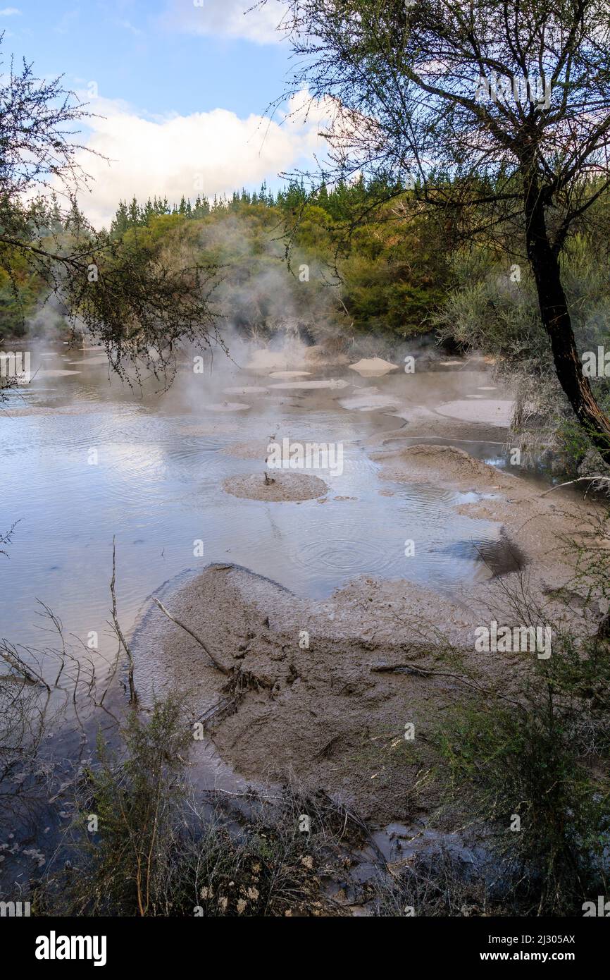 A Vertical shot of a small lake of thick mud Wai-O-Tapu, Waikato, New ...
