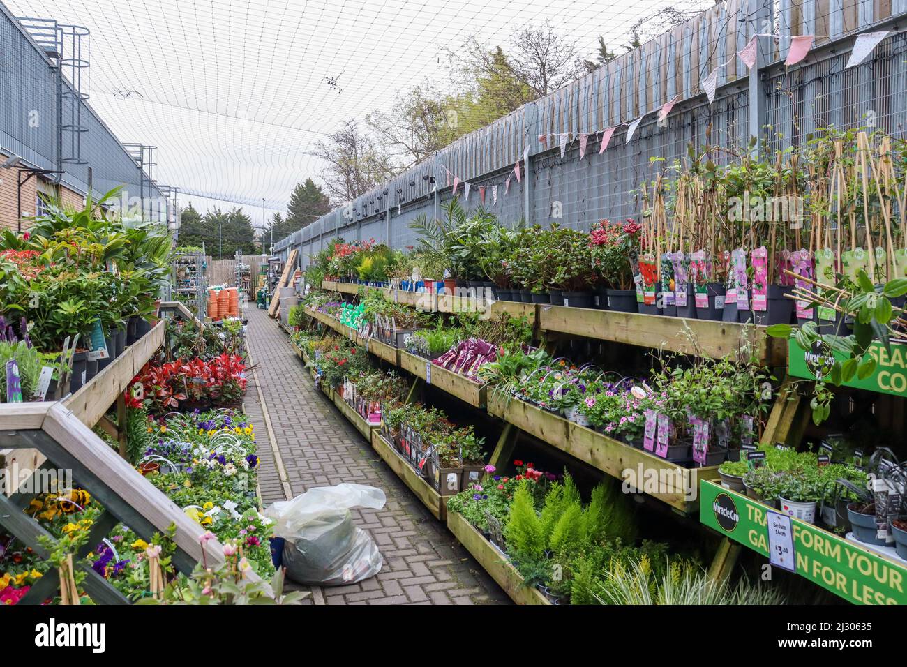 Garden department hi-res stock photography and images - Alamy