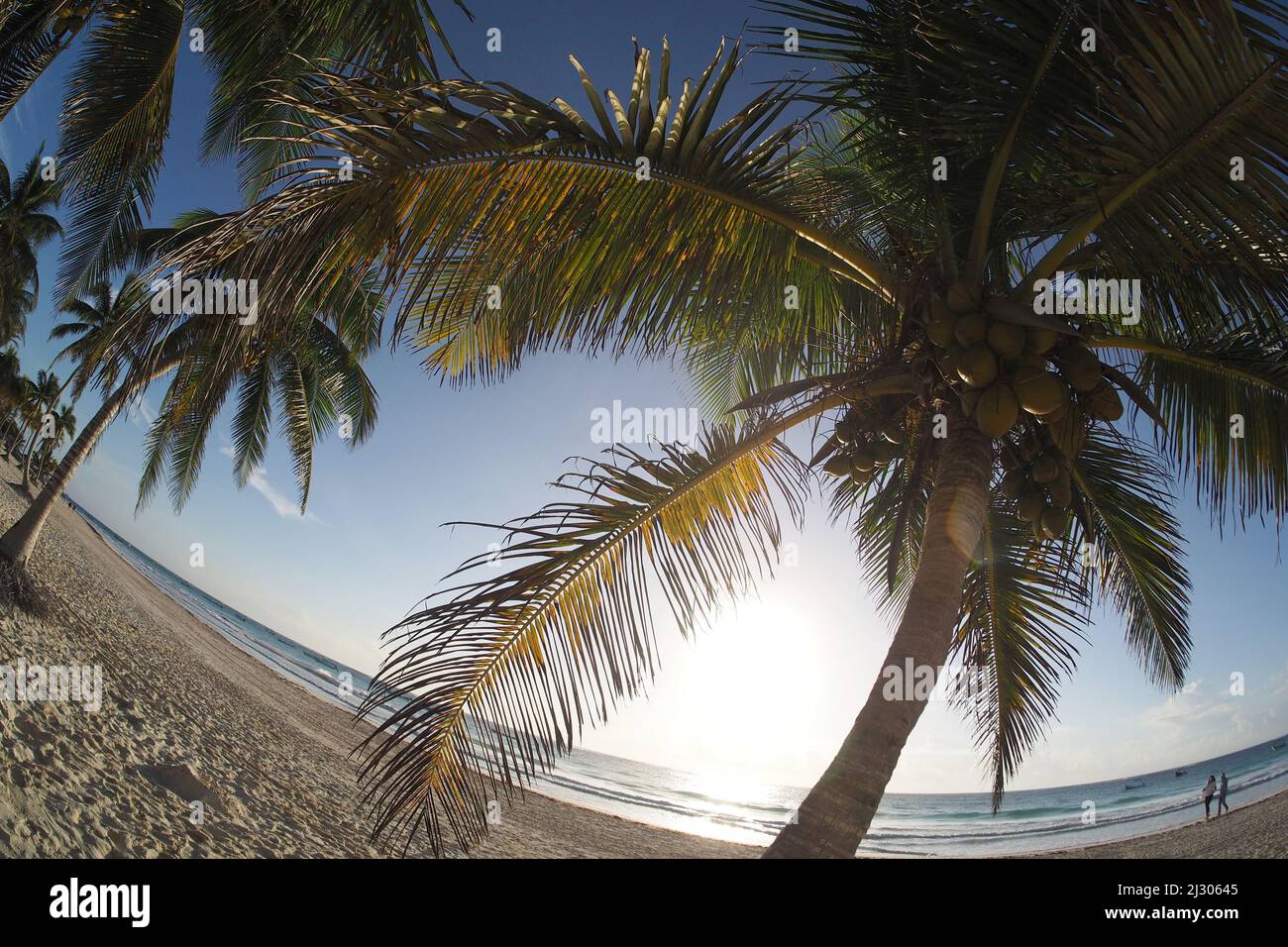 Beach in Tulum, Yucatan, Mexico Stock Photo - Alamy