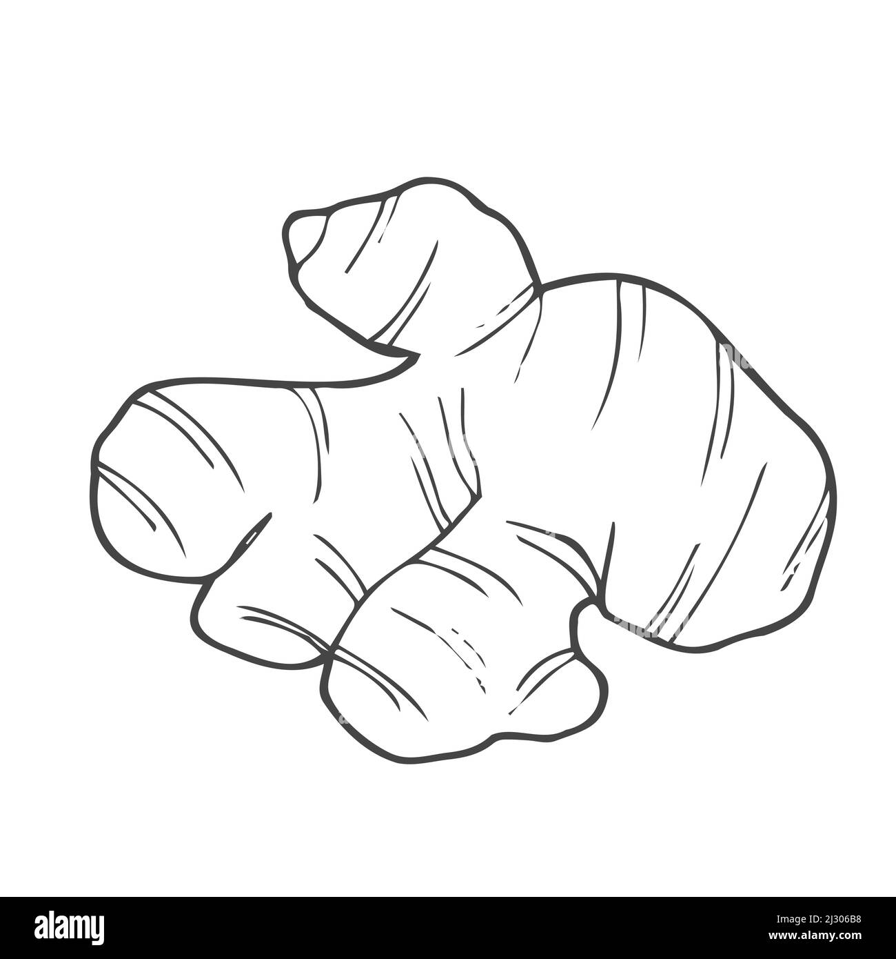 Ginger Clipart Black And White