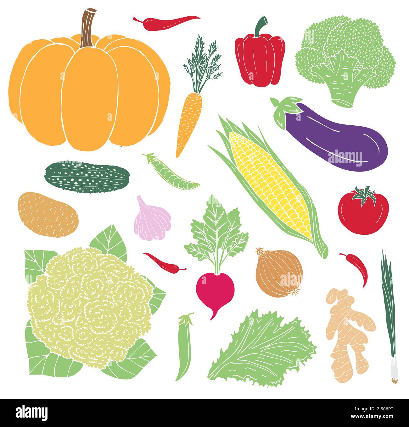 Vector hand drawn sketch doodle set bundle of colored vegetables ...