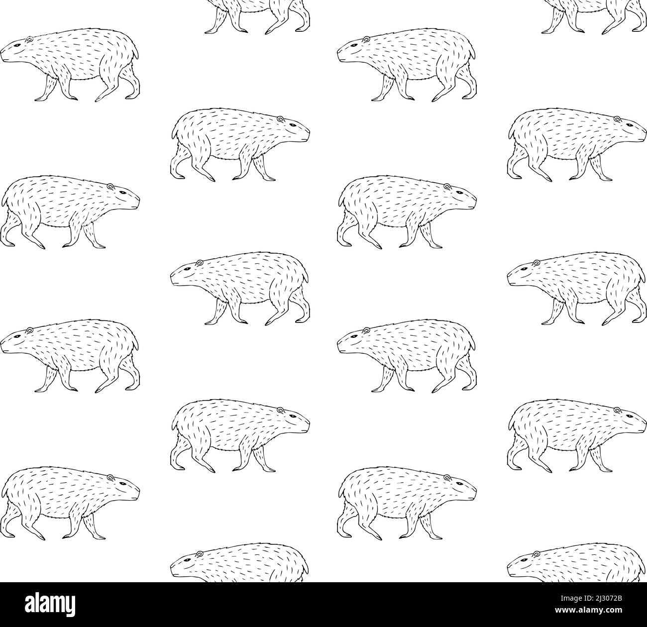 Vector seamless pattern of hand drawn sketch capybara isolated on white ...