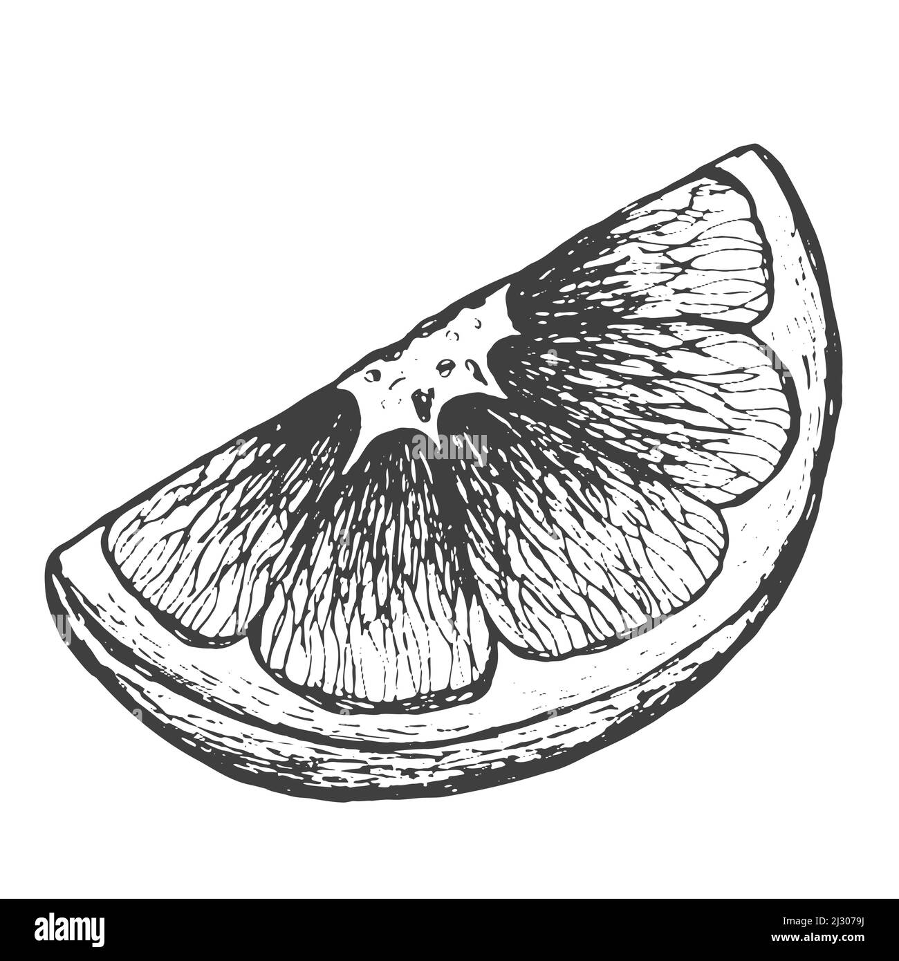 Orange Slice Drawing Black And White