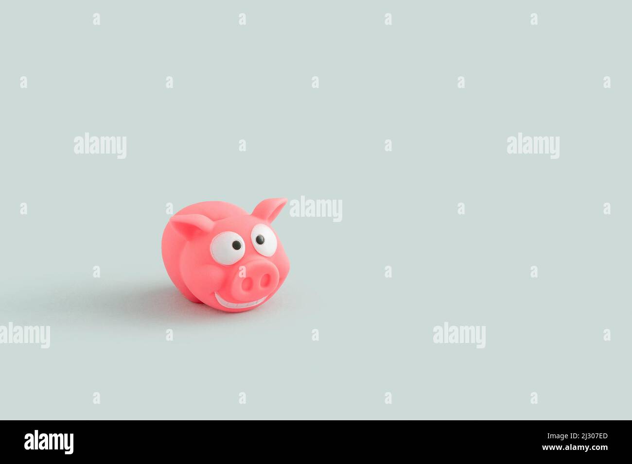 A closeup shot of a small pink pig toy on isolated white background ...