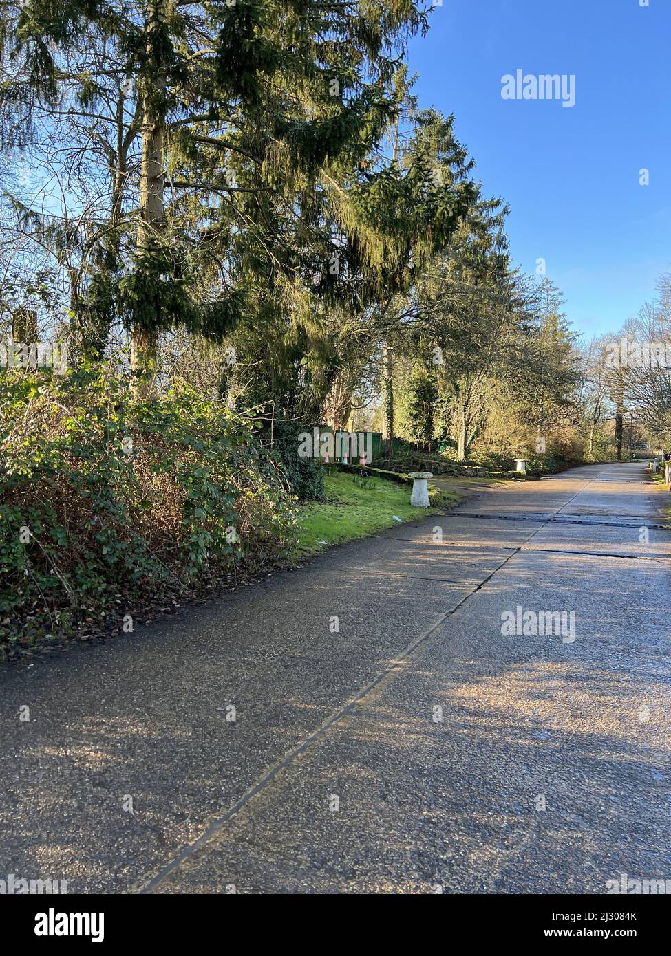 A beautiful trees in Spring with old road. Crawley, United Kingdom ...