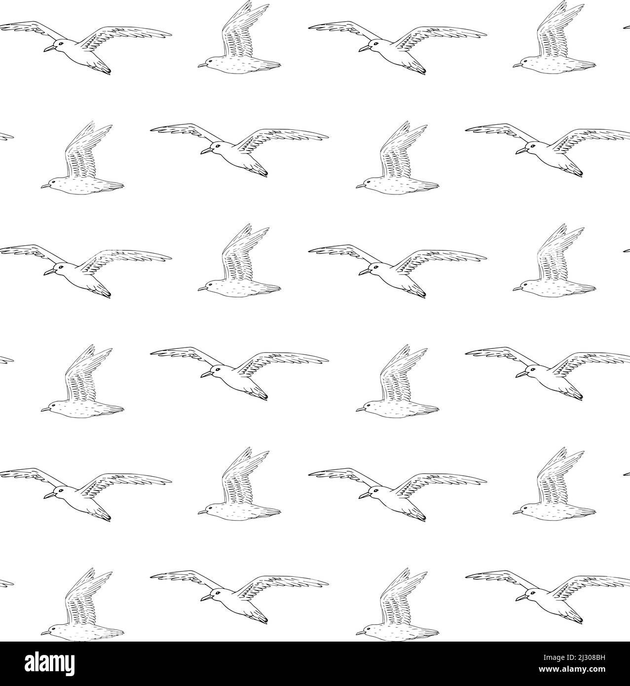 Vector seamless pattern of hand drawn flying sketch sea gull isolated ...