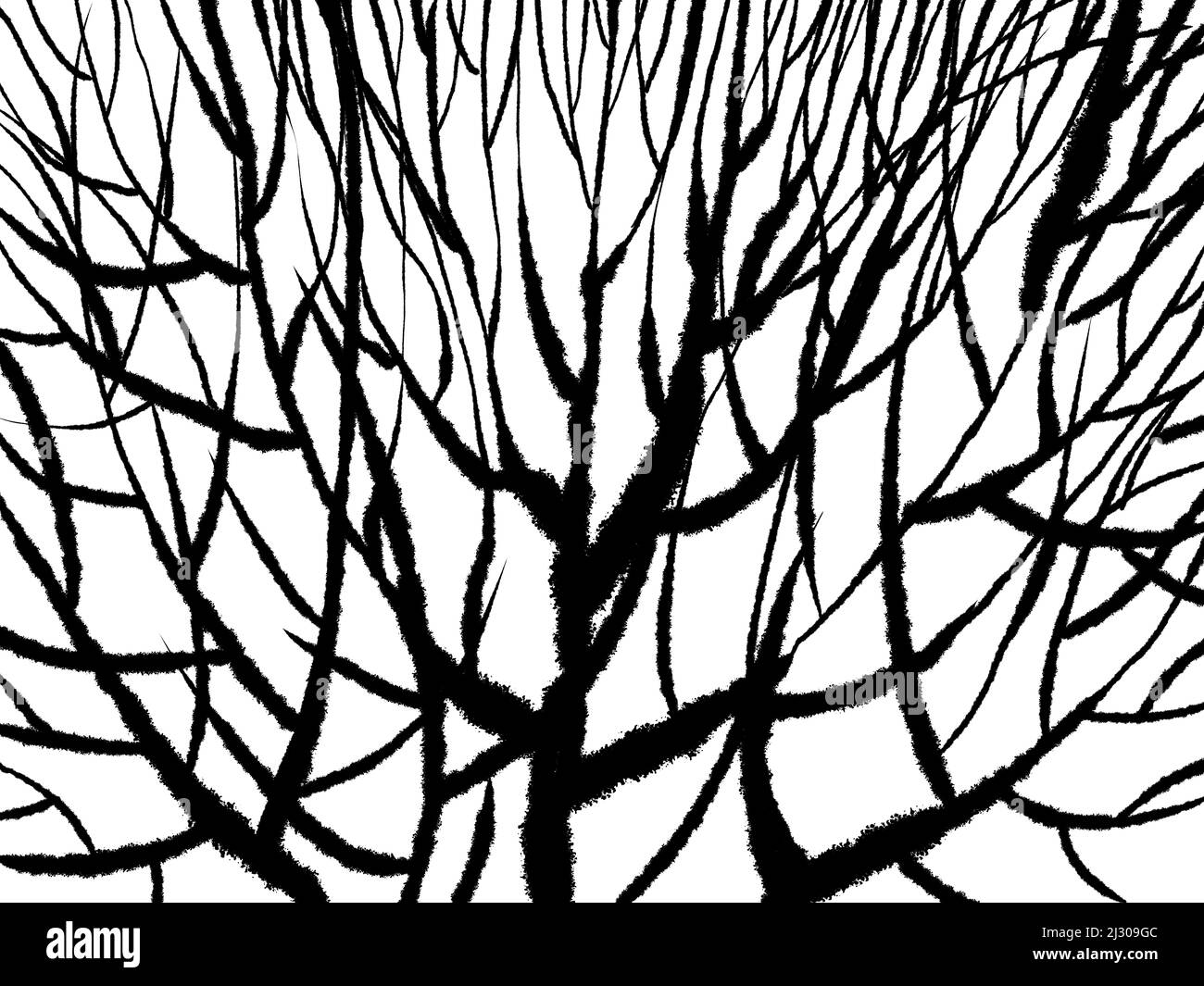 Tree branches mesh net ink texture background. Vintage black and white ...