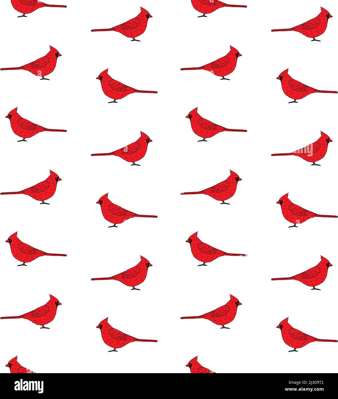 Vector seamless pattern of hand drawn red cardinal bird isolated on ...
