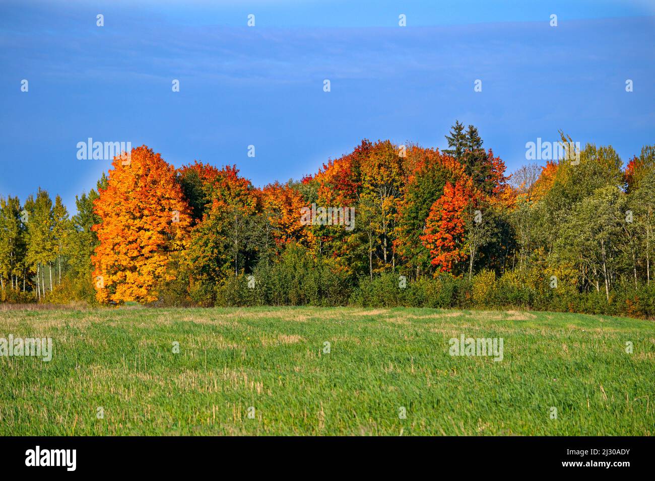 Endless landscapes hi-res stock photography and images - Alamy