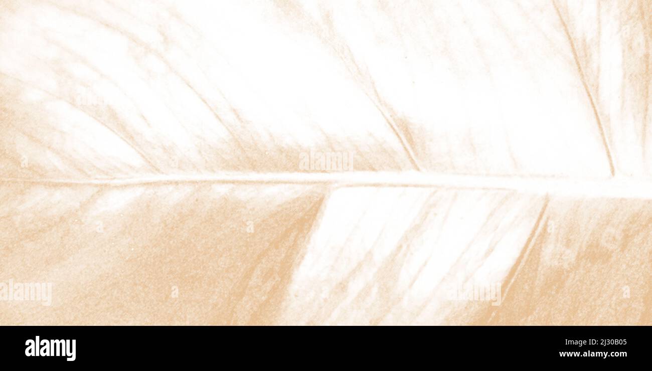 Fill pattern background leaf design Stock Photo - Alamy