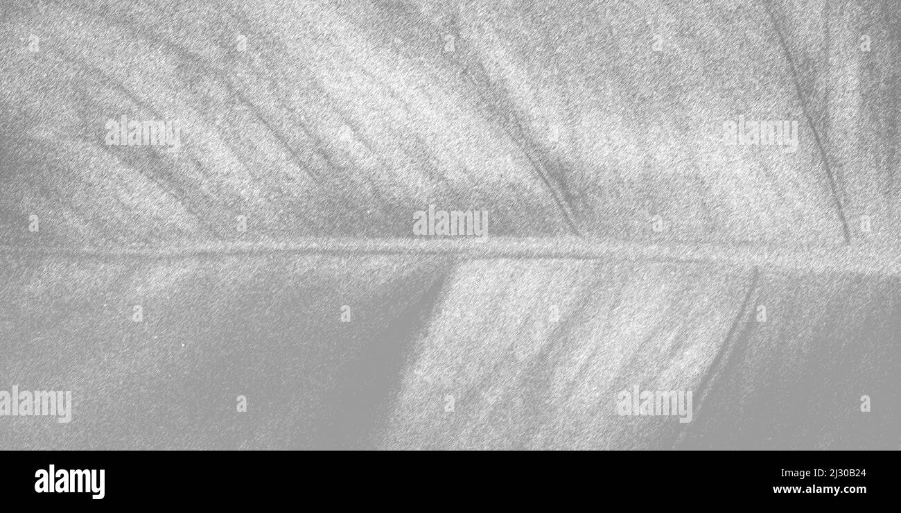 Fill pattern background leaf design Stock Photo - Alamy