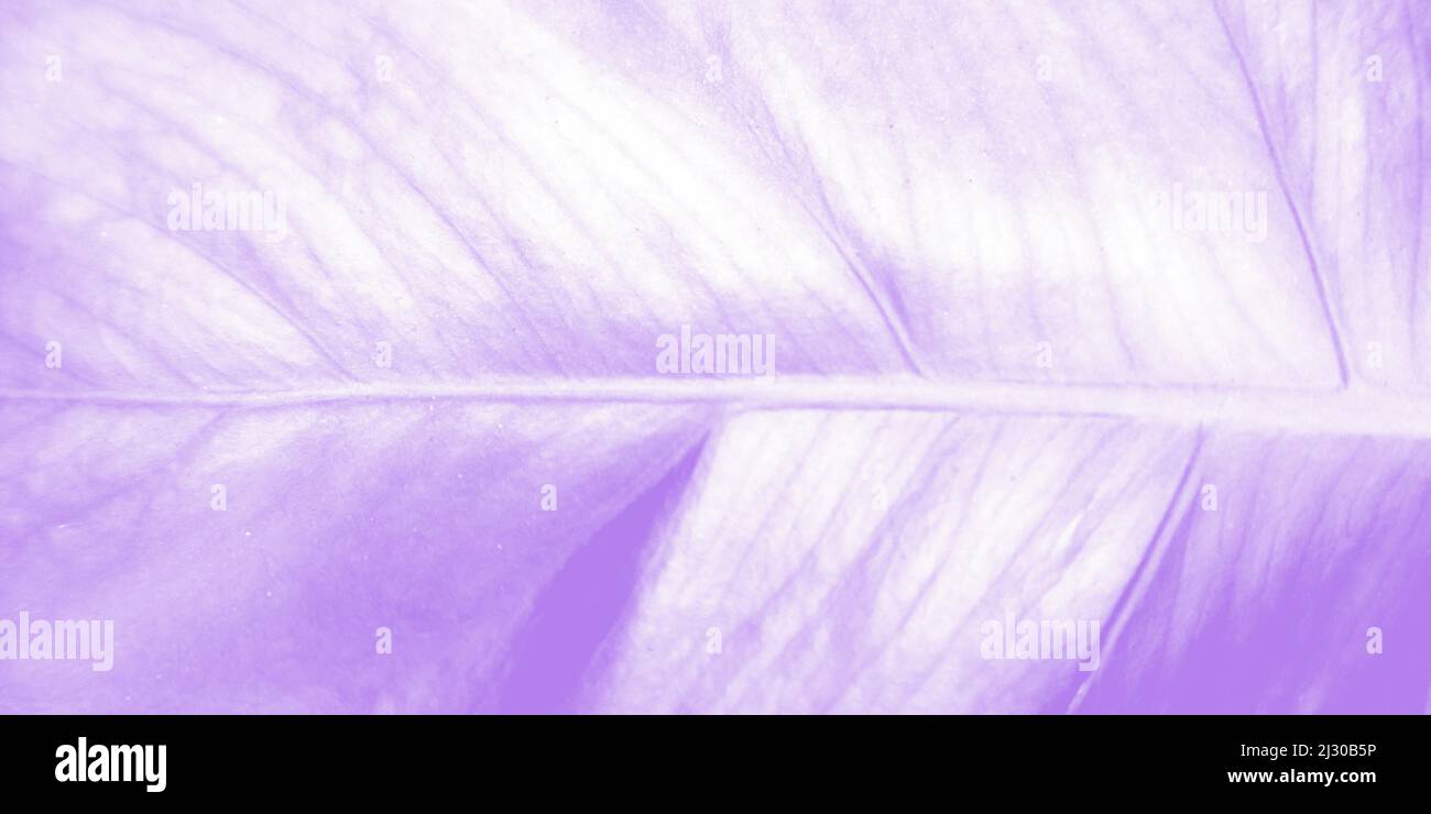 Fill pattern background leaf design Stock Photo - Alamy