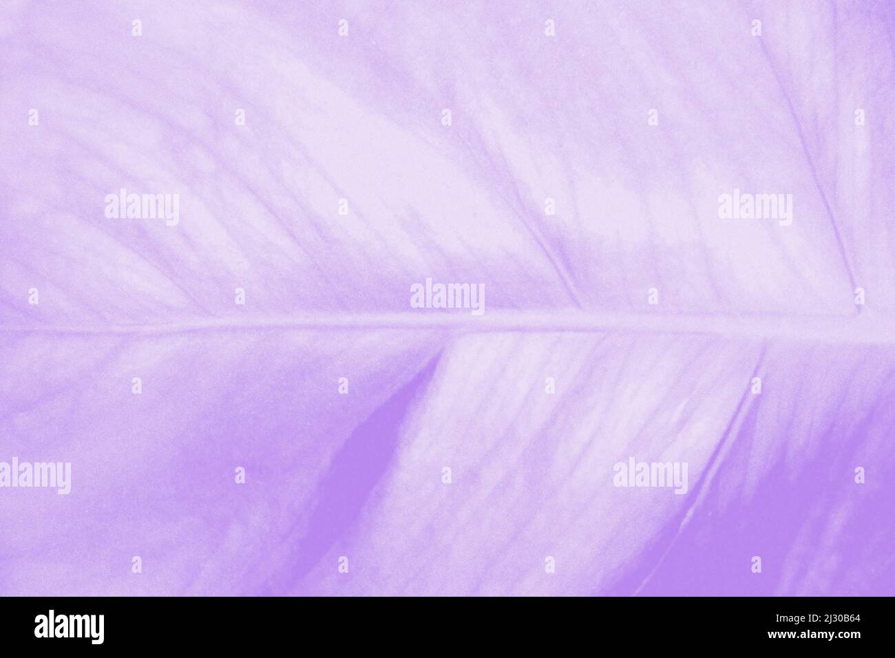 Fill pattern background leaf design Stock Photo - Alamy