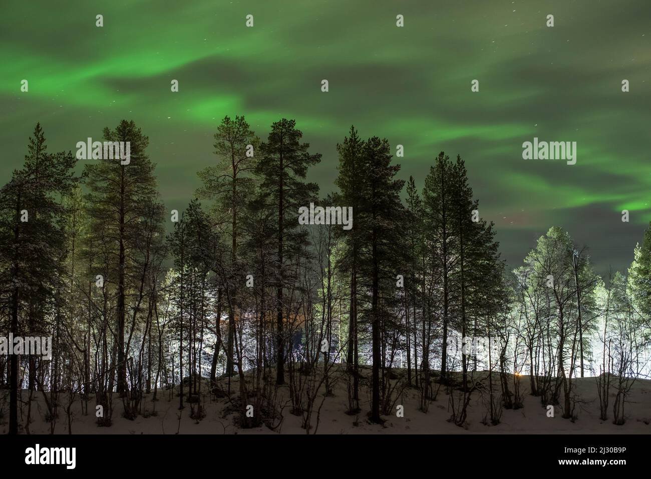 Northern lights, northern lights, Muonio, Lapland, Finland Stock Photo ...