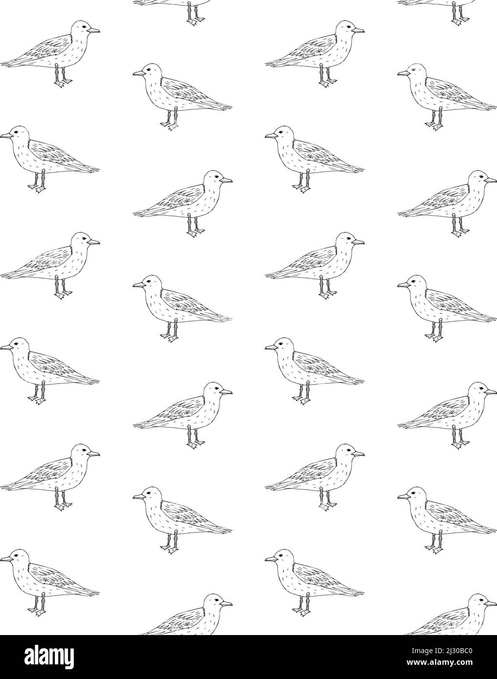 Vector seamless pattern of hand drawn outline sketch sea gull isolated ...