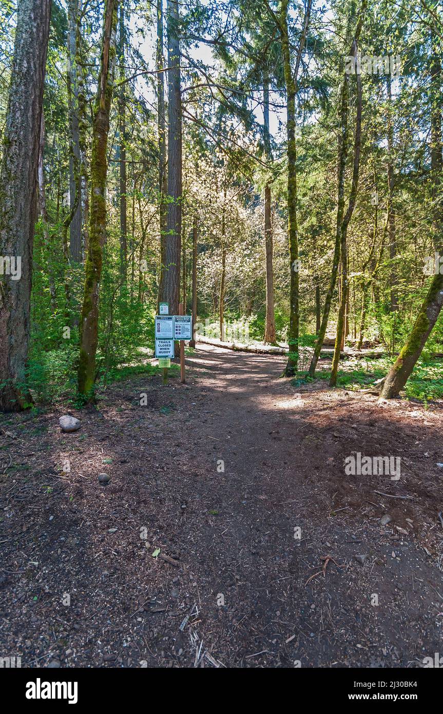 On the trail at Powell Butte Nature Park in Portland, Oregon Stock ...
