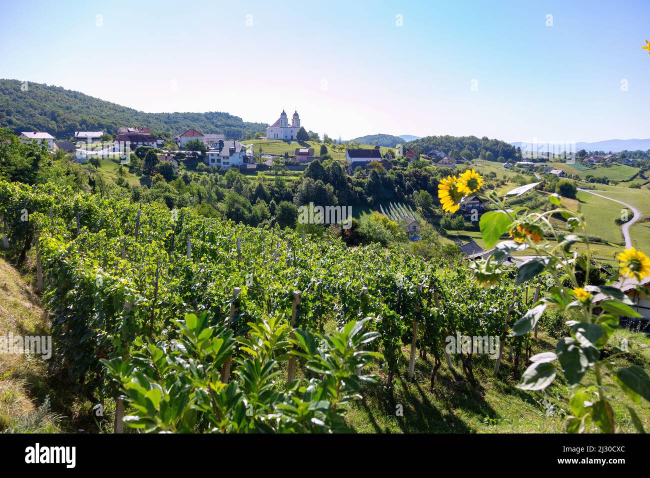 Suhor hi-res stock photography and images - Alamy