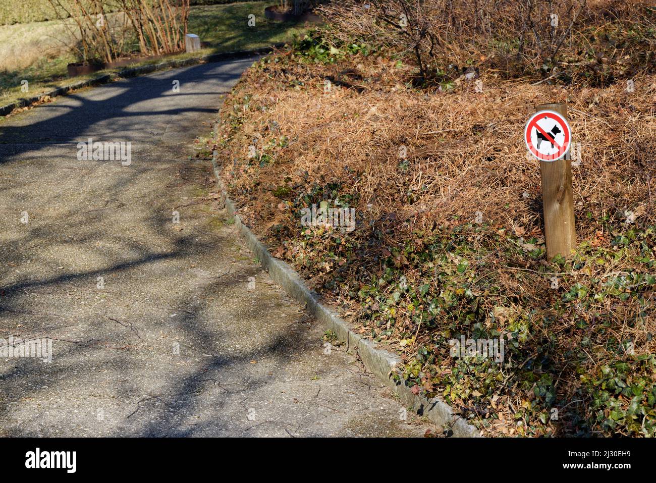 no dog zone: red and white no dog sign next to a footpath leading to a ...