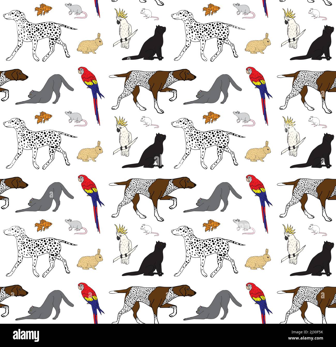 Vector seamless pattern of colored hand drawn doodle sketch different ...
