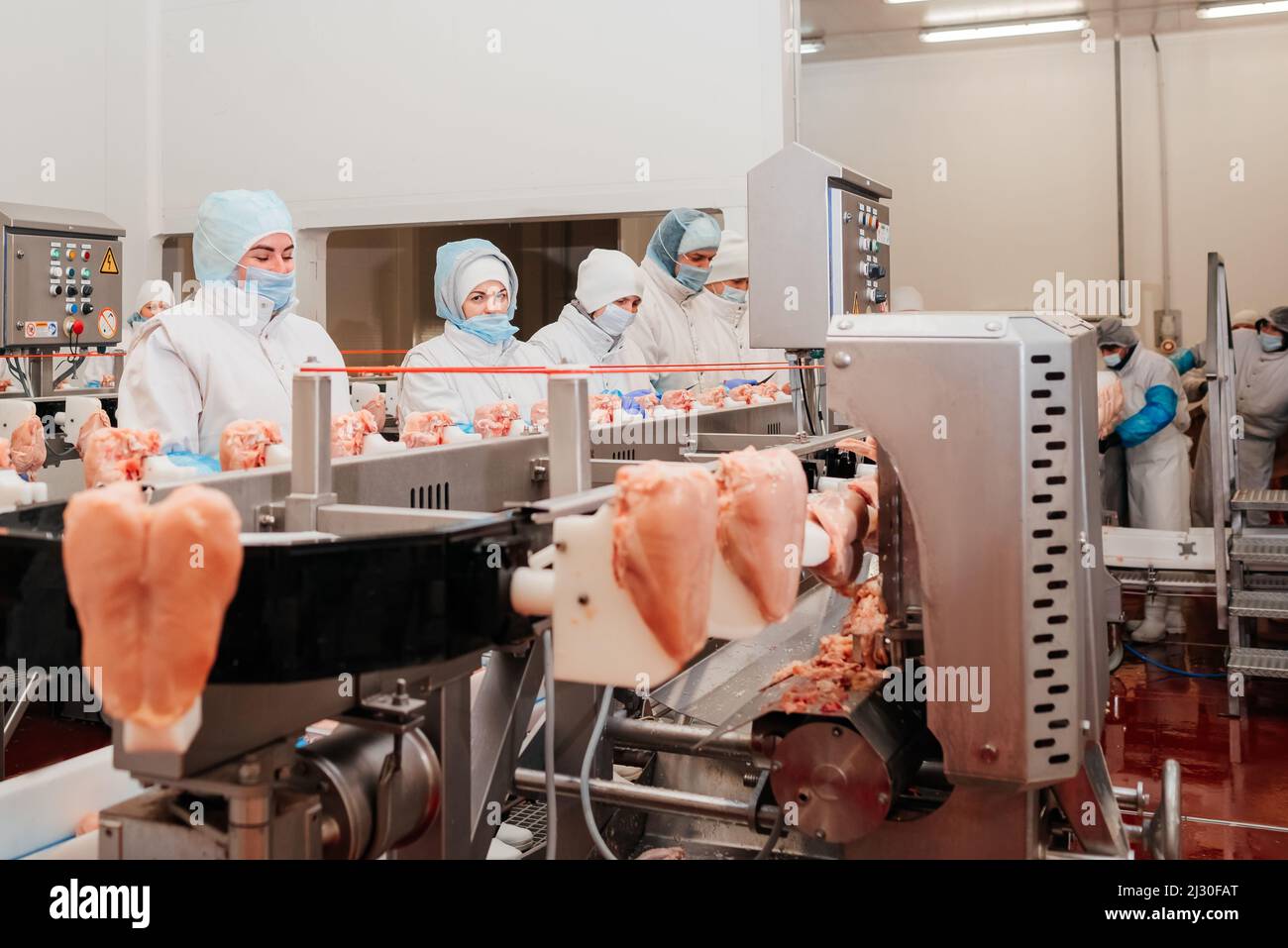 Chicken fillet production line . Factory for the production of food ...
