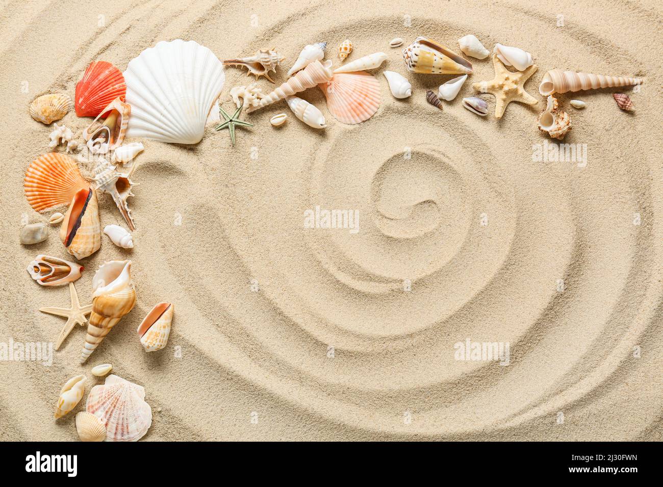 Many different sea shells on sea coast Stock Photo - Alamy