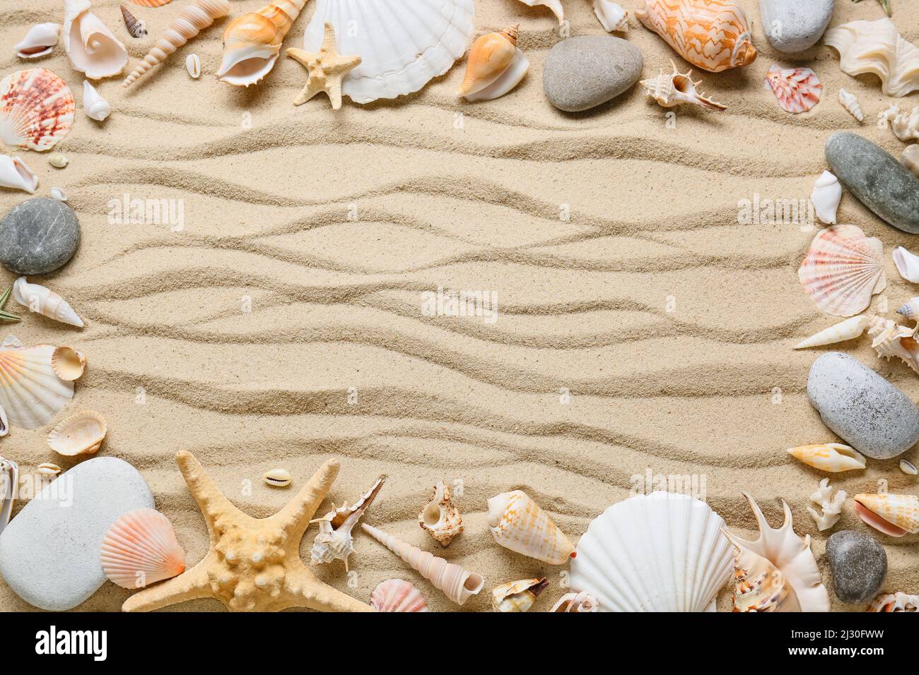 Frame made of different sea shells on beach sand Stock Photo - Alamy