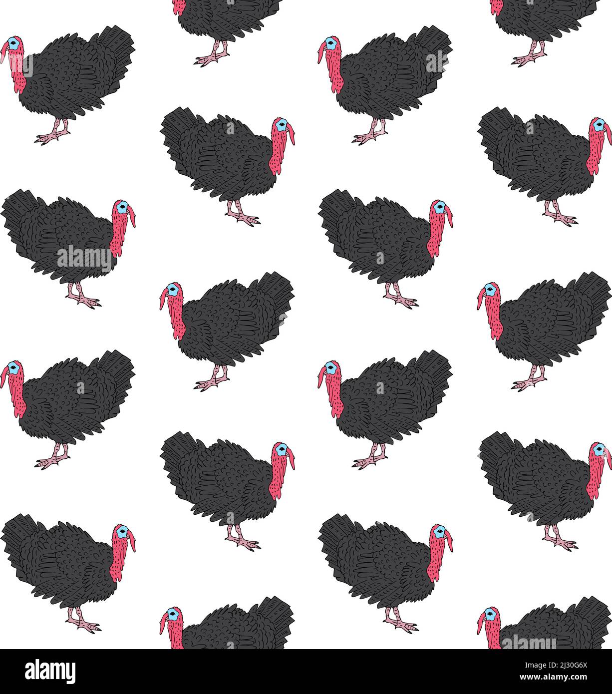 Vector seamless pattern of colored hand drawn sketch turkey isolated on ...