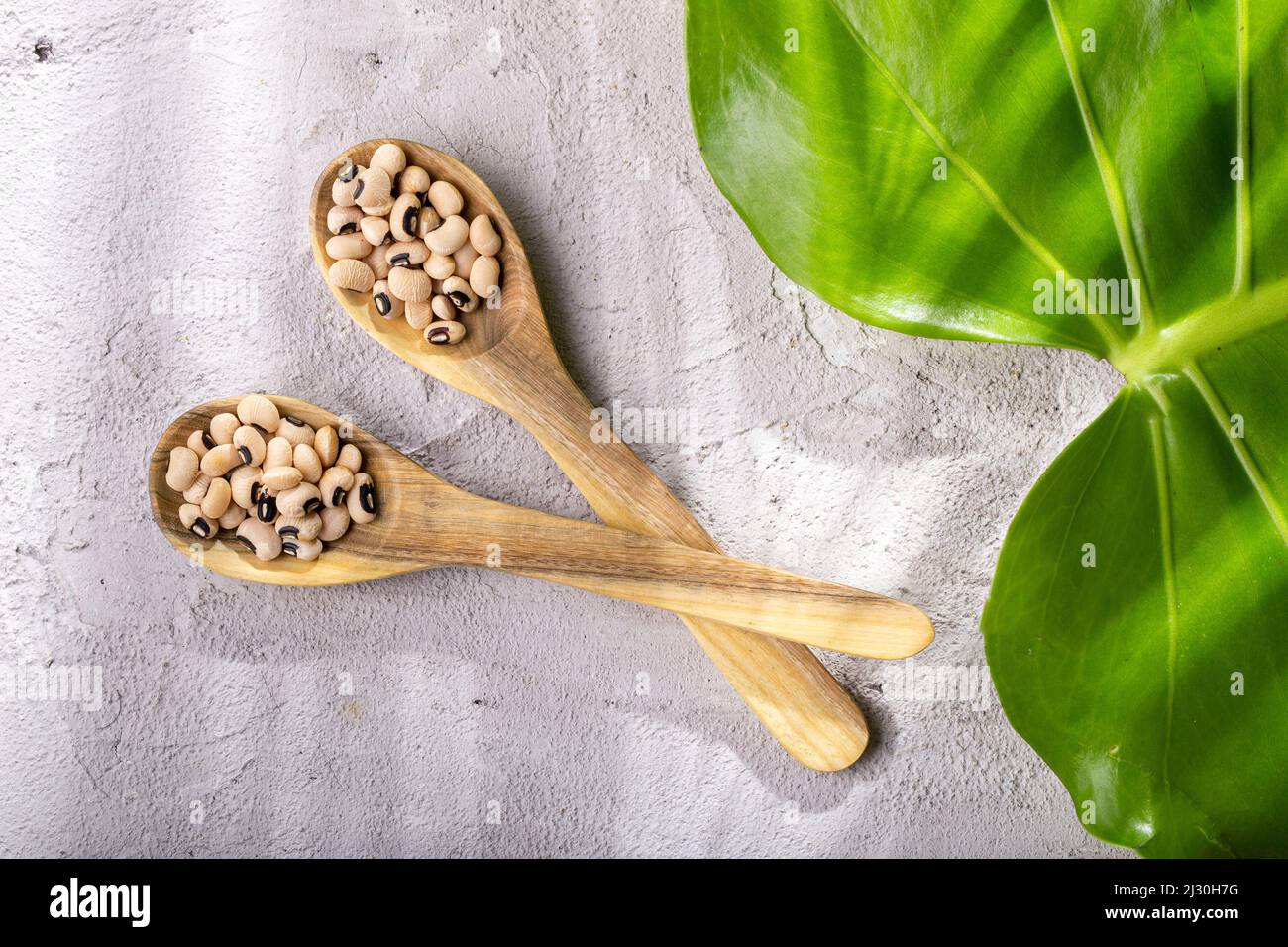 pile of black-eyed beans, in container on concrete surface- lubiya ...