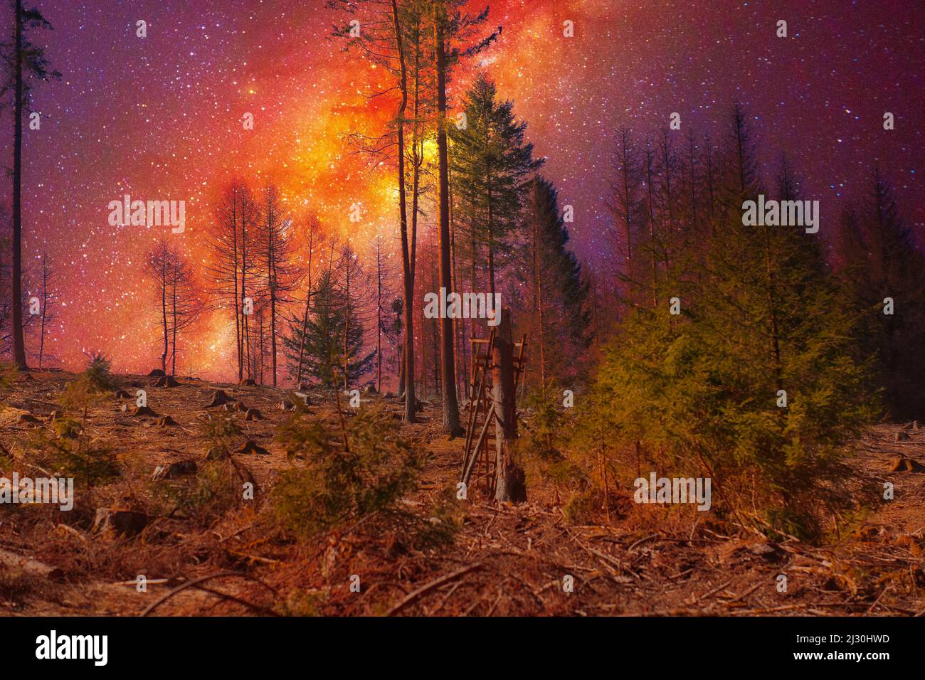 A beautiful shot of a starry sky over the Rennsteig Trail in the ...