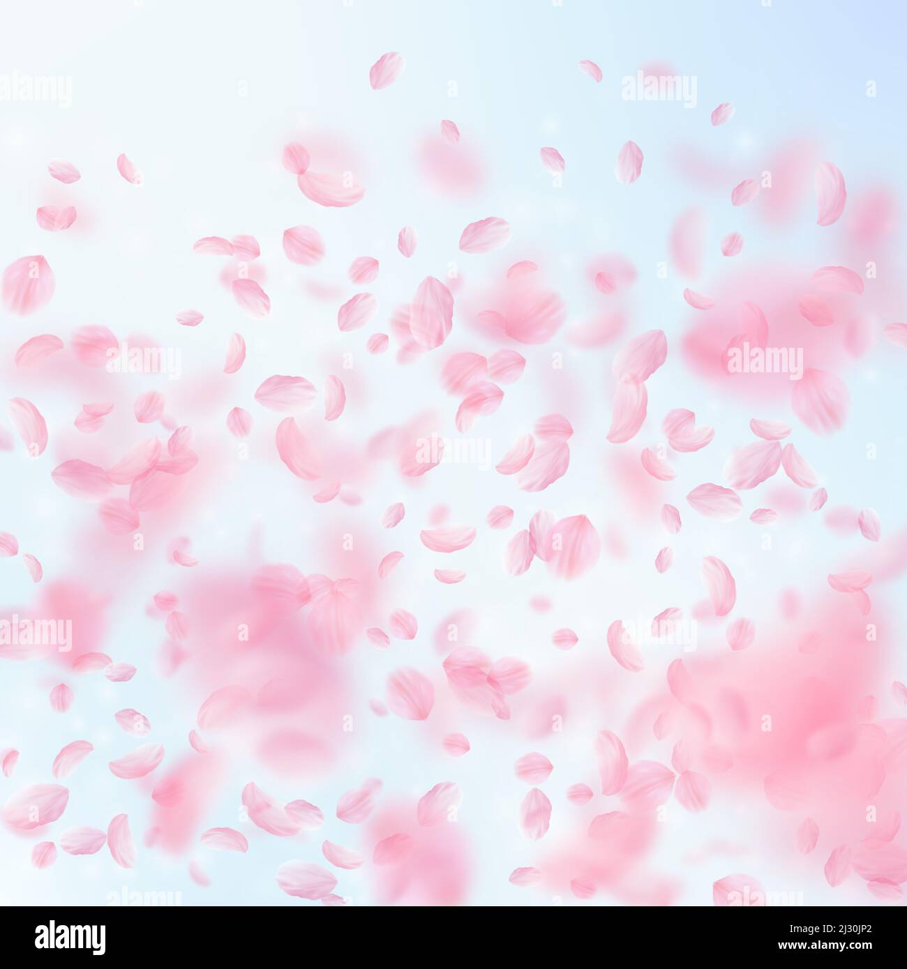 Sakura petals falling down. Romantic pink flowers gradient. Flying ...