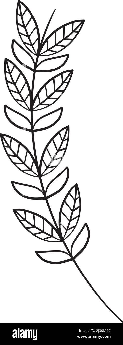 decorative stem with leaves Stock Vector Image & Art - Alamy