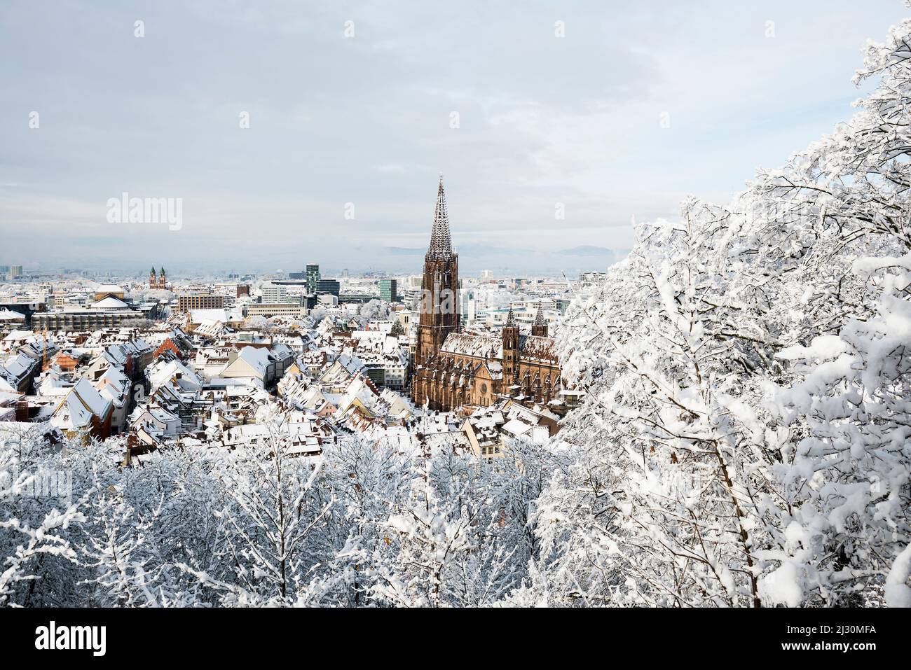 Winter mood with snow, Freiburg Minster, Freiburg im Breisgau, Black ...