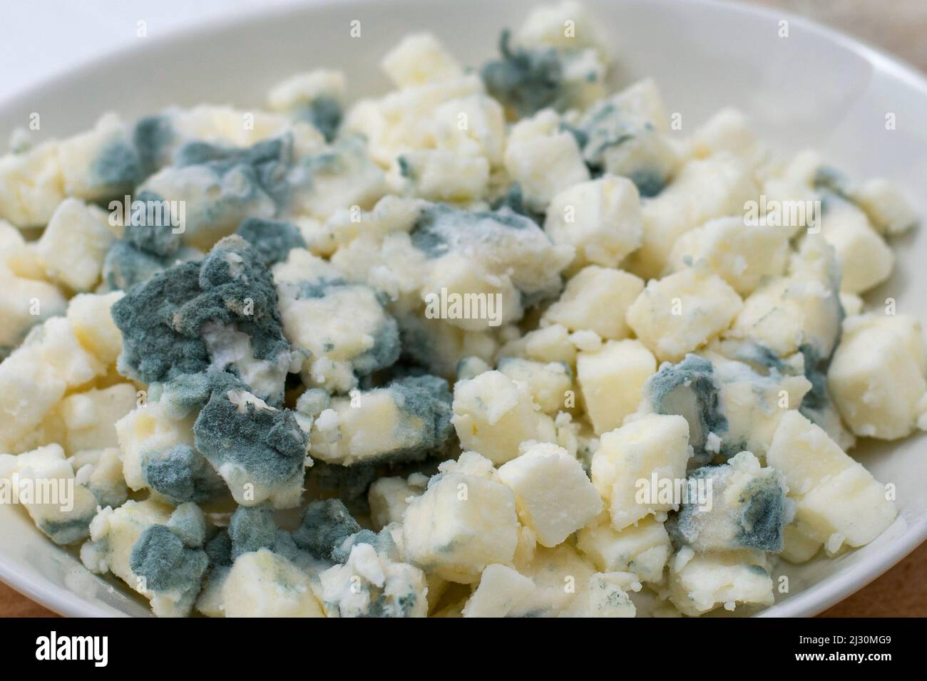 Poisonous cheese hi-res stock photography and images - Alamy