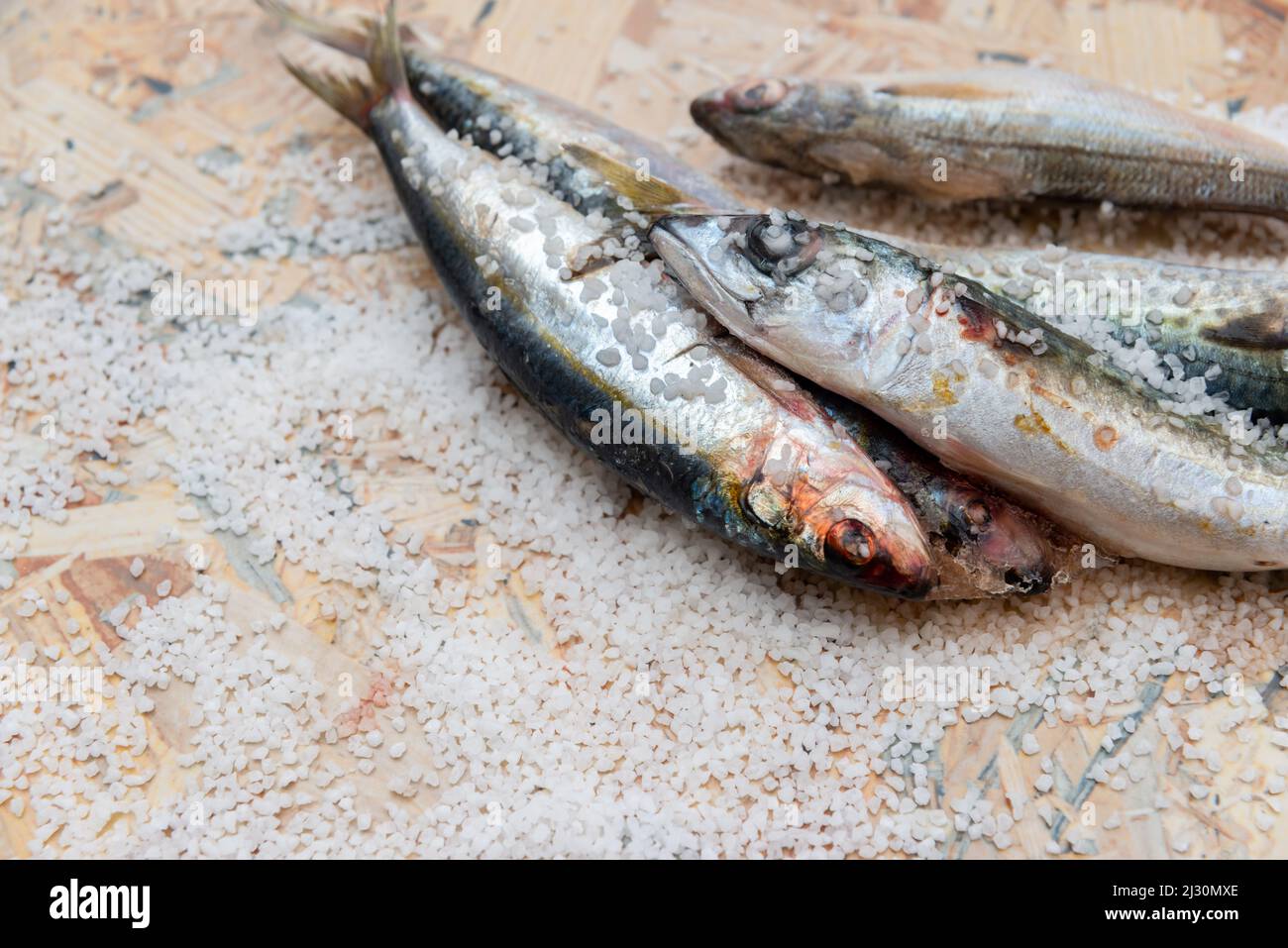 Whole raw organic mackerel fish with sea salt lying on a flat surface ...