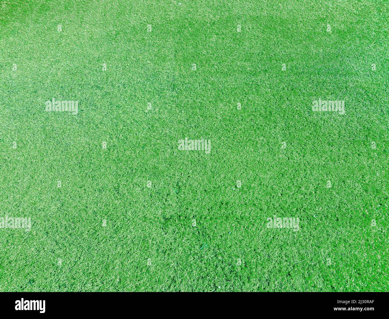 a green soccer field turf baseball football grass sport ground sporting ...