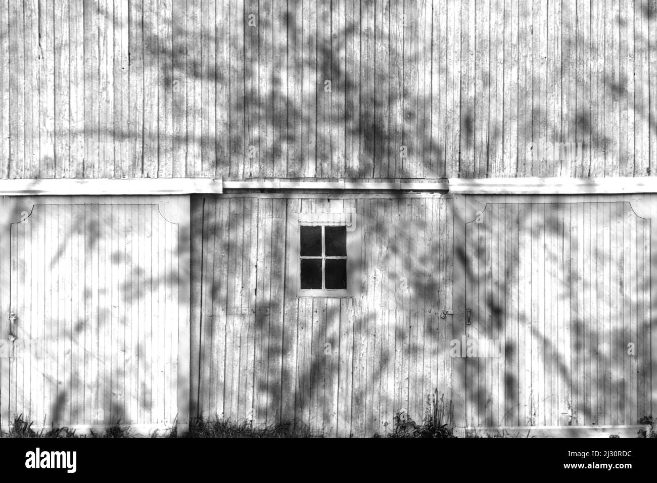 a white farm barn hanging doors shadows trees overcast sunny black and ...