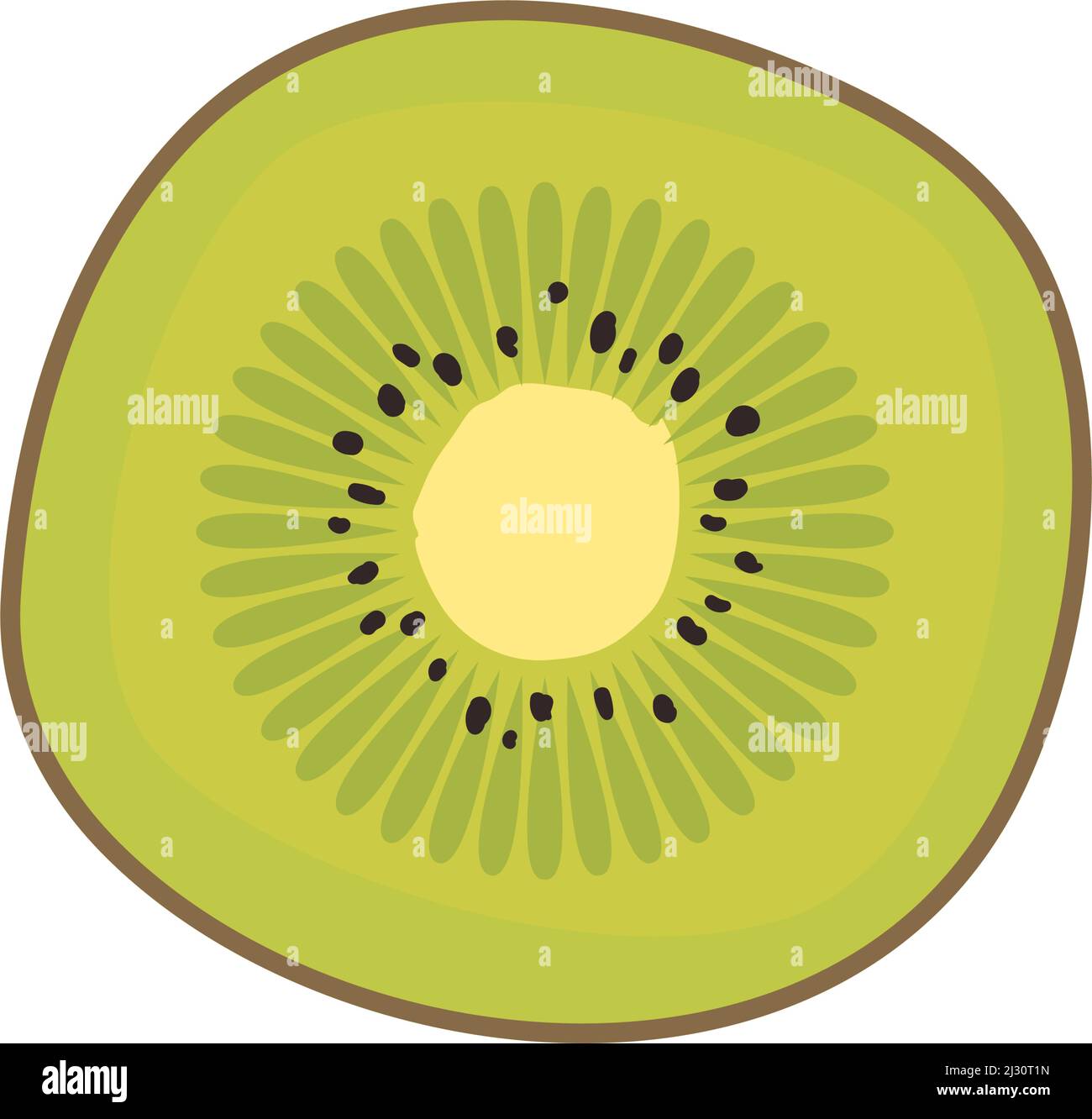 Kiwi slice green kiwifruit Stock Vector Images - Alamy