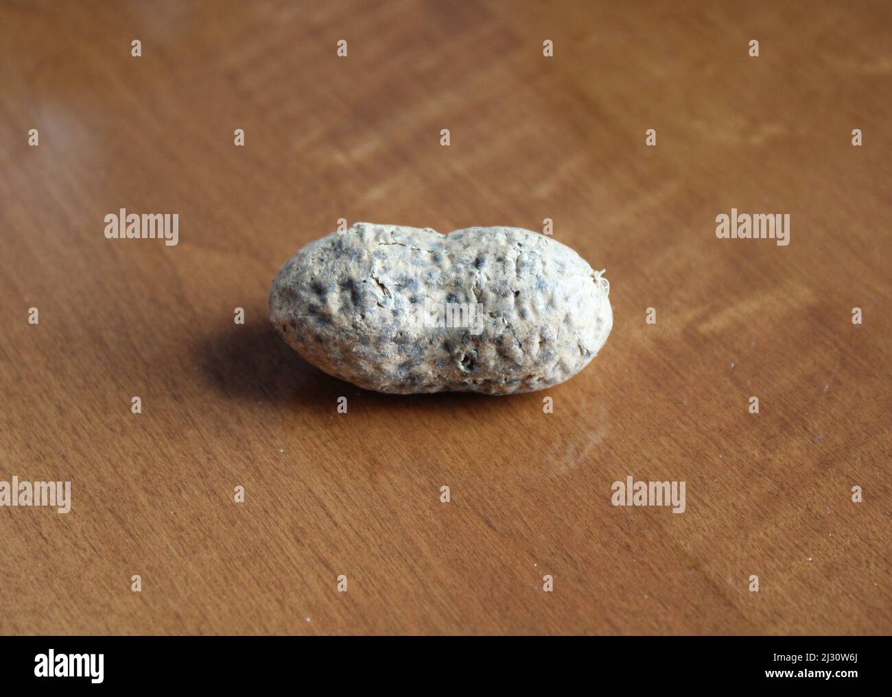 A Single Whole Peanut Stock Photo - Alamy