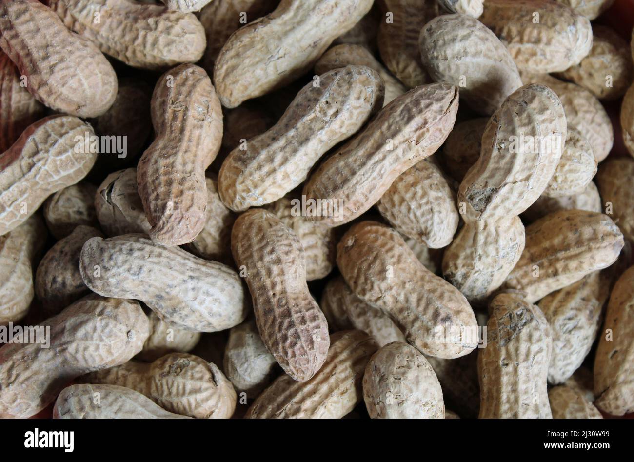 A Pile of Common Shelled Peanuts Stock Photo - Alamy