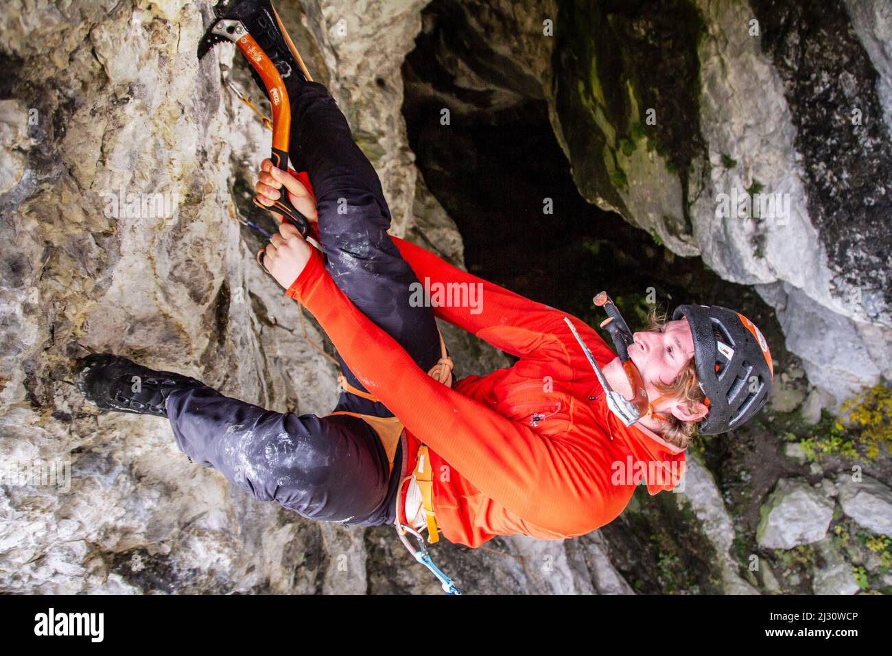 Bear cave germany hi-res stock photography and images - Alamy