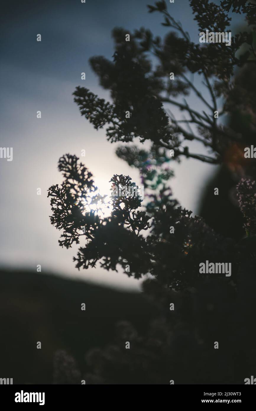 Dull colors hi-res stock photography and images - Alamy