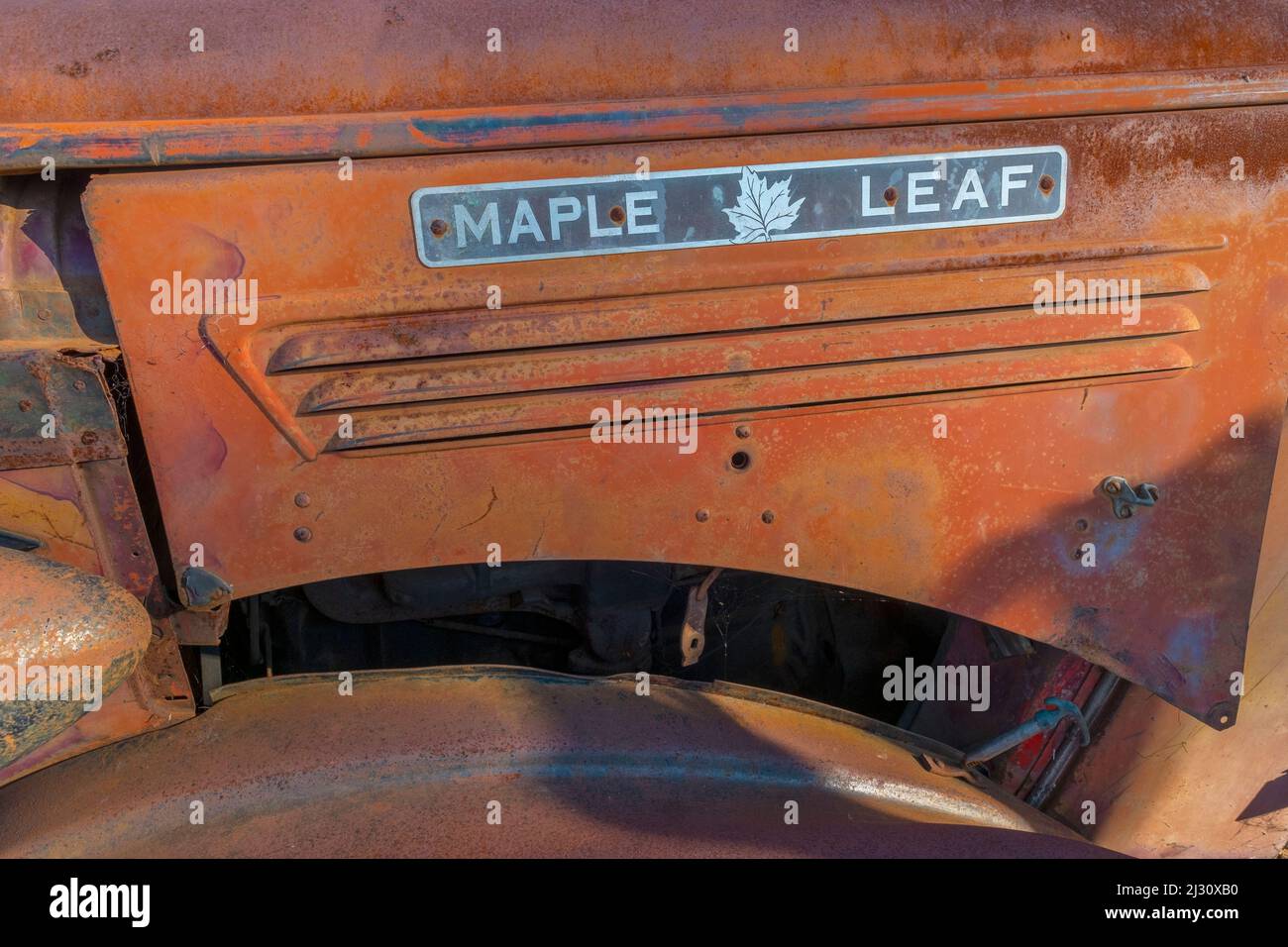 Rusty old Chevrolet truck for sale by the side of the road in Glen ...