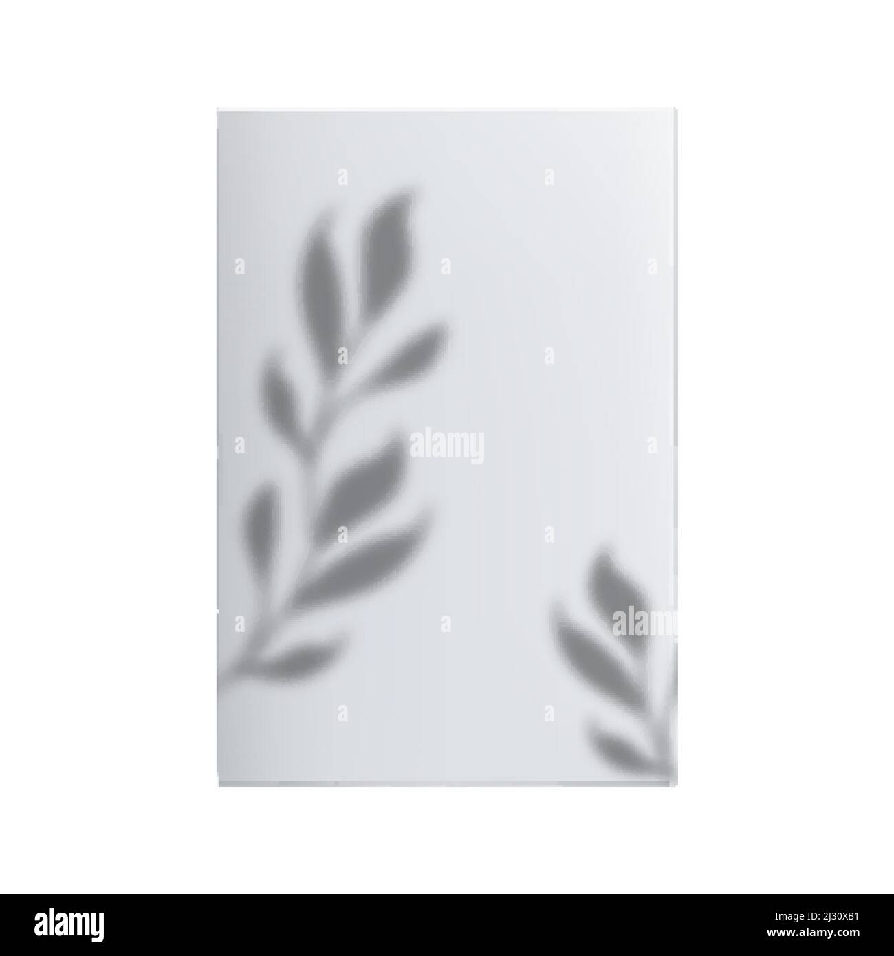 Poster With Tree Leaves Shadow Hang On Wall Vector Stock Vector Image ...